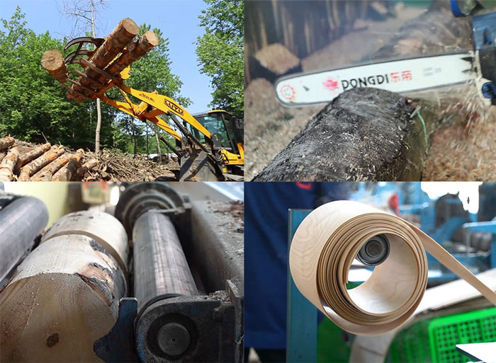 Wooden Dsiposable Cutlery Manufacturing Process - Ancheng Bamboo&Wood